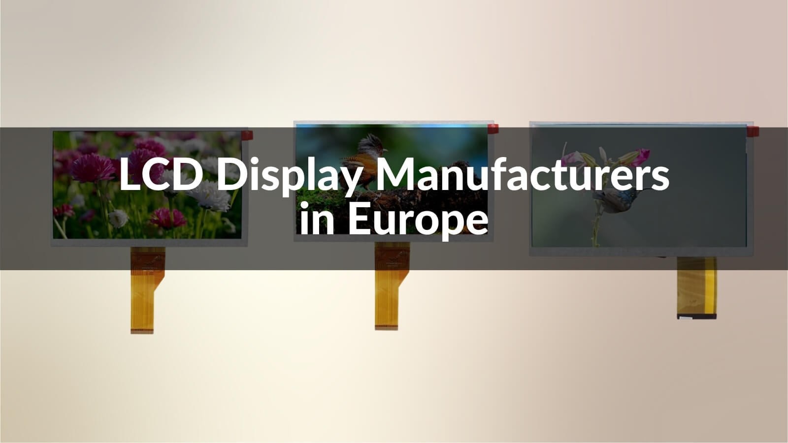 Top 10 LCD Display Manufacturers in Europe 2025 - Golden Vision