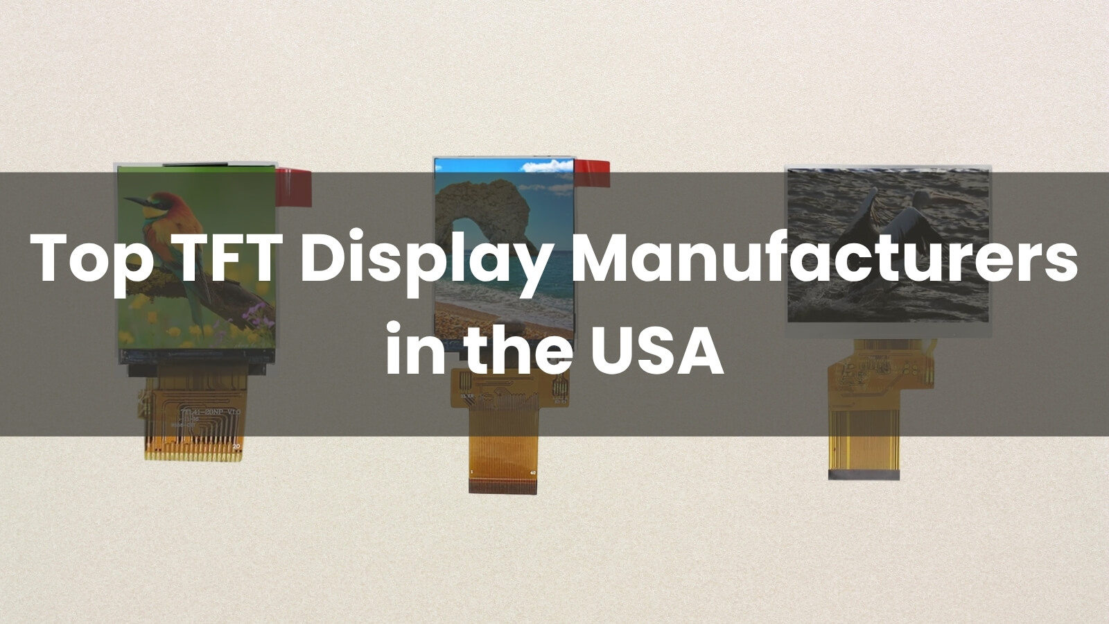 Top 10 TFT Display Manufacturers in the USA 2025 - Golden Vision