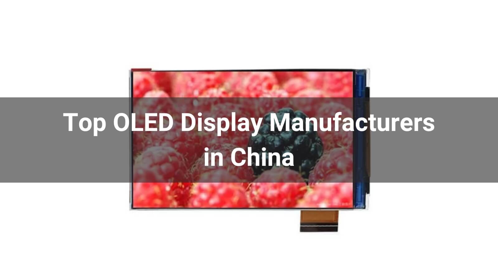 Top 10 OLED Display Manufacturers in China 2025 - Golden Vision